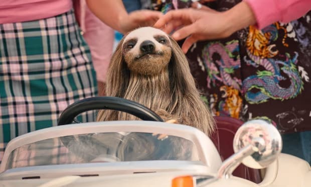 Slotherhouse: Killer Sloth Movie A Surprise Hit With Critics - Nogoom ...