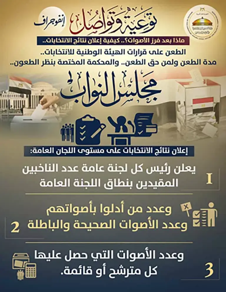 Egypt's Parliamentary Affairs Ministry Publishes Post-Counting Election ...