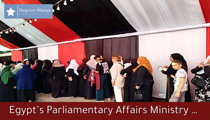 Egypt's Parliamentary Affairs Ministry Publishes Post-Counting Election ...